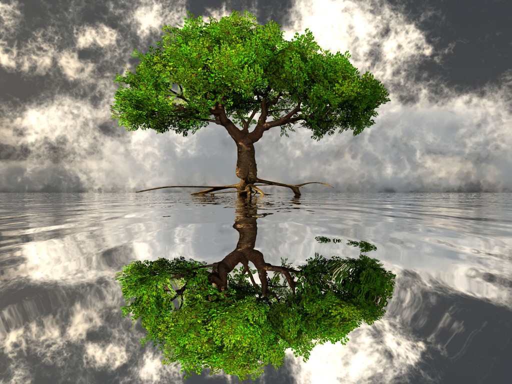 Flourishing Culture – Flourishing @ Life